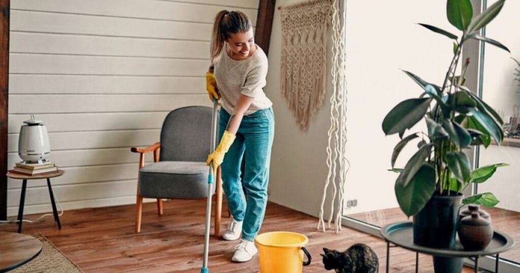Pro Cleaning Brisbane: Clean Your House Fast Like a Pro